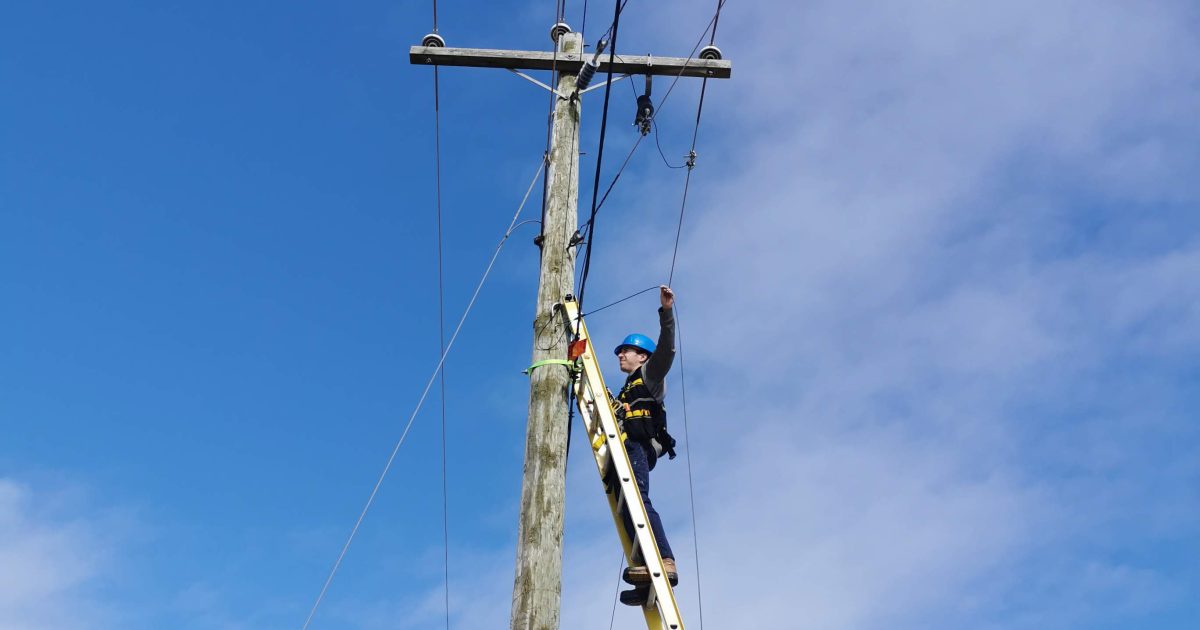 What’s the deal with fibre? | Xplore