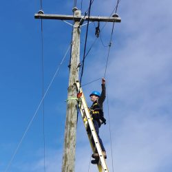 What’s the deal with fibre? | Xplore